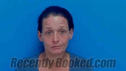 Recent Booking / Mugshot for Elena Medina Crooks in Catawba County ...