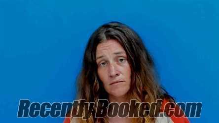 Recent Booking / Mugshot for Kady Fox in Catawba County, North Carolina