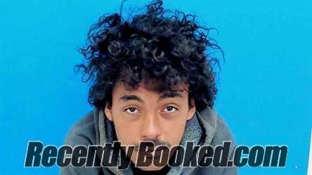 Recent Booking / Mugshot for Harley Eric Henson in Catawba County ...