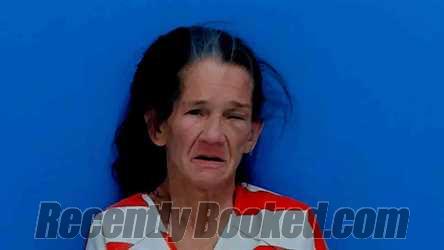 Recent Booking / Mugshot for Kelly Beard Hahn in Catawba County, North ...