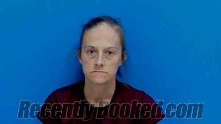 Recent Booking / Mugshot for Kristin Nicole Hefner in Catawba County ...