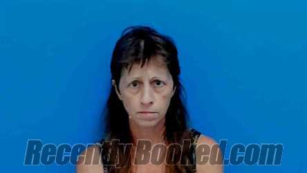 Recent Booking / Mugshot for Lynn Helms Hedger in Catawba County, North ...