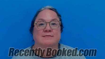 Recent Booking / Mugshot for Brandy Hutchinson Lee in Catawba County ...