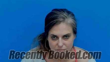 Recent Booking / Mugshot for Holly Michelle Pless in Catawba County ...