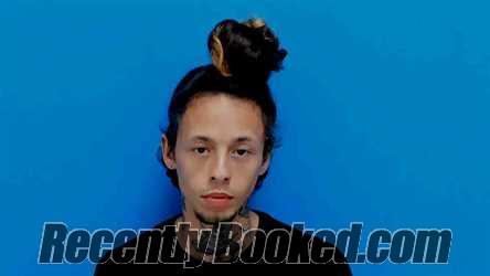 Recent Booking / Mugshot for Payton Mackenzie Parsons in Catawba County ...