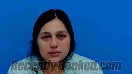 Recent Booking / Mugshot for Selina Minesh Patel in Catawba County ...