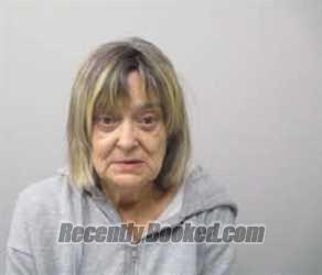 Recent Booking / Mugshot for PAMELA MARIE GOODMAN in Chatham County ...
