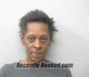 Recent Booking / Mugshot for THELON NALETTE HOLMAN in Chatham County ...