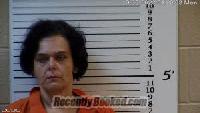 Recent Booking / Mugshot for Felisha Ann Anderson in Cherokee County ...
