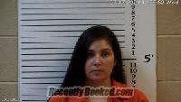Recent Booking / Mugshot for HEIDI LYNN BLEVINS in Cherokee County ...