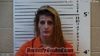 Recent Booking / Mugshot for Savannah Marie Bryson in Cherokee County ...
