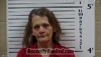 Recent Booking / Mugshot for Davina Dean Cook in Cherokee County, North ...