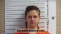 Recent Booking / Mugshot for Sheena Renee Dockery in Cherokee County ...