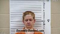 Recent Booking / Mugshot for Sheena Renee Dockery in Cherokee County ...
