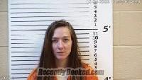 Recent Booking / Mugshot for Alta Nicole Fortner in Cherokee County ...