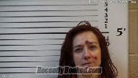 Recent Booking / Mugshot for Alta Nicole Fortner in Cherokee County ...