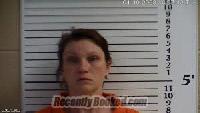 Recent Booking / Mugshot for Rachel Nicole Fleming in Cherokee County ...