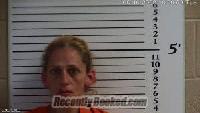 Recent Booking / Mugshot for Alicia Ann Garrett in Cherokee County ...