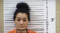 Recent Booking / Mugshot for Shalees Marie Greenlee in Cherokee County, North Carolina