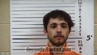Recent Booking / Mugshot for Joshua David Harper in Cherokee County ...