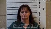Recent Booking / Mugshot for Tina Jane Hill in Cherokee County, North ...