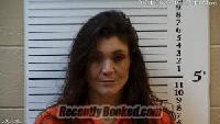 Recent Booking / Mugshot for Jessica Dawn Moneymaker in Cherokee County ...