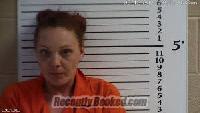 Recent Booking / Mugshot for Sabrina Ruth Palcznski in Cherokee County ...