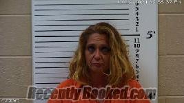 Recent Booking / Mugshot for Stephanie Nicolette Phillips in Cherokee ...