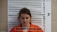 Recent Booking / Mugshot for Dora Sue Ratley in Cherokee County, North ...