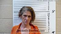 Recent Booking / Mugshot for Helen Shannon Runge in Cherokee County ...