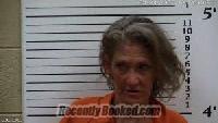 Recent Booking / Mugshot for Helen Shannon Runge in Cherokee County ...