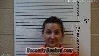 Recent Booking / Mugshot for Amy Morgan Smith in Cherokee County, North ...