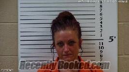 Recent Booking / Mugshot for Jillian Murphy Stiles in Cherokee County ...