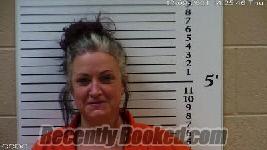 Recent Booking / Mugshot for Jillian Nicole Stiles in Cherokee County ...