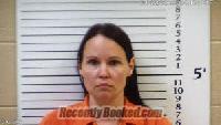 Recent Booking / Mugshot for MELISSA KAY SEABOLT in Cherokee County ...