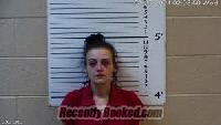 Recent Booking / Mugshot for Tia Nicole Shook in Cherokee County, North ...