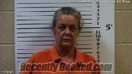 Recent Booking / Mugshot for Jean Marie Terry in Cherokee County, North ...