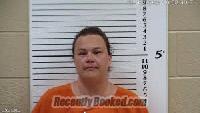Recent Booking / Mugshot for Vanessa Lynn Teeter in Cherokee County ...