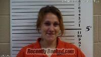 Recent Booking / Mugshot for Carley Dunn Walls in Cherokee County ...