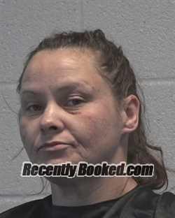 Recent Booking / Mugshot for BRITTANY NICOLE MATHIS in Cleveland County ...