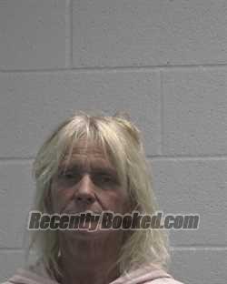 Recent Booking / Mugshot for MICHELLE ROARK DALTON in Cleveland County ...