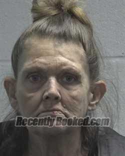 Recent Booking / Mugshot for LISA CHRISTINE HARBIN in Cleveland County ...