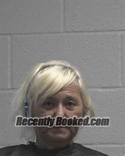 Recent Booking / Mugshot for CRYSTAL MICHELLE BLEVINS in Cleveland ...