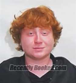 Recent Booking / Mugshot for BENJAMIN AMBROSE FALZANO in Columbus ...