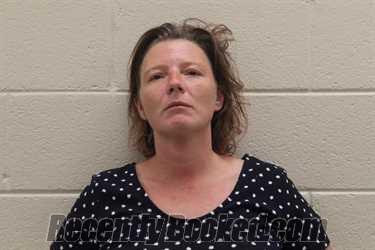 Recent Booking / Mugshot for April Howell in Pickens County, Georgia