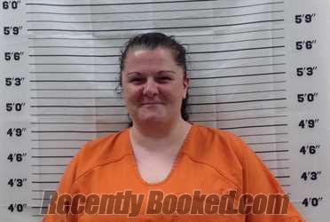 Recent Booking / Mugshot for Gabrielle Anna Bramlett in Pickens County ...