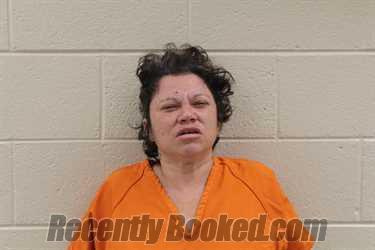 Recent Booking / Mugshot for GLORIA JANE LEDFORD in Pickens County, Georgia