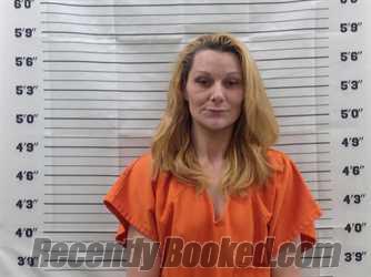 Recent Booking / Mugshot for HEATHER JORDAN SNOW (Chastain) in Pickens ...