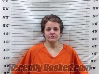 Recent Booking / Mugshot for Kayla Nicole King in Pickens County, Georgia