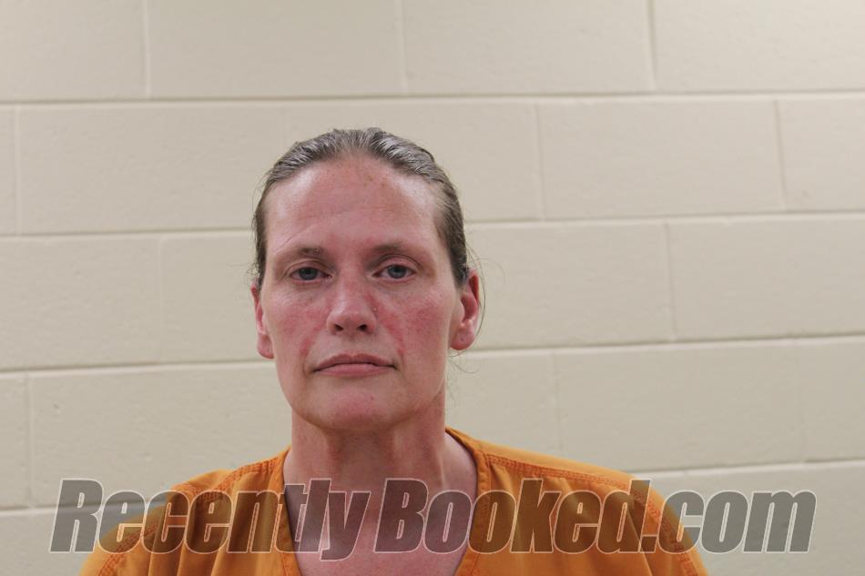 Recent Booking / Mugshot for Kimberley German Patterson in Pickens ...